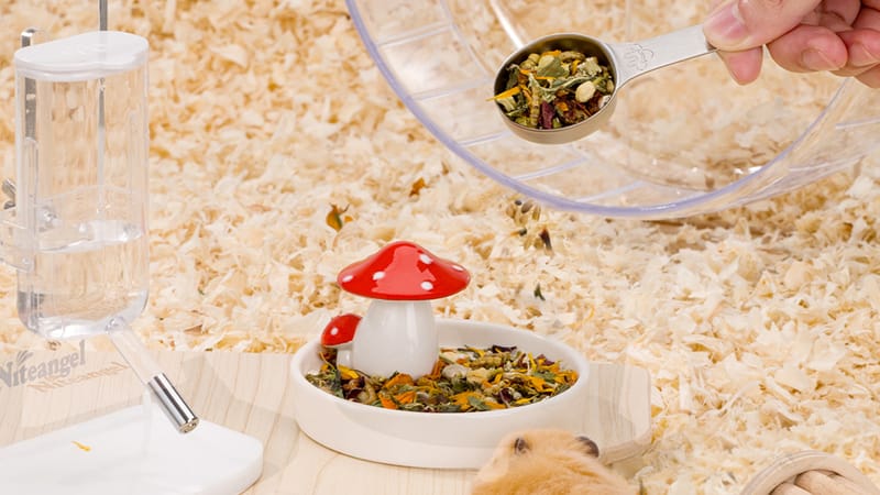 Do Hamsters Need High Protein? A Comprehensive Guide to Choosing ...