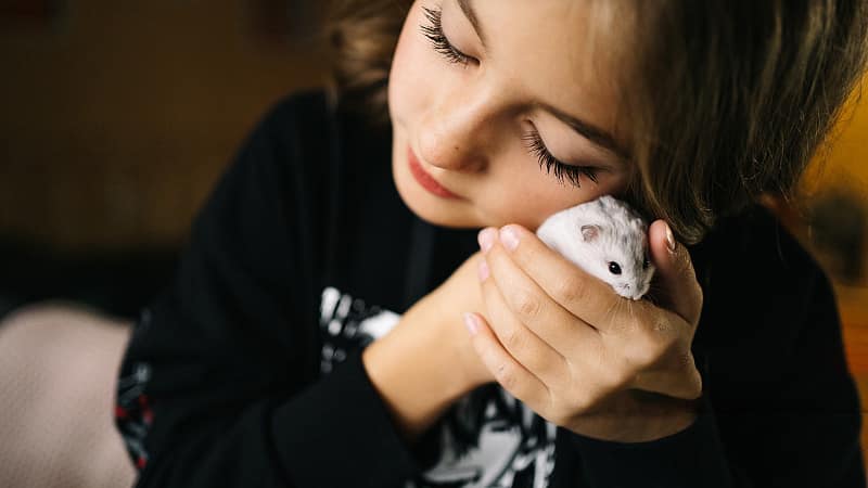 Best 5 Types of Hamsters for Kids: Personality Traits and Care Needs ...