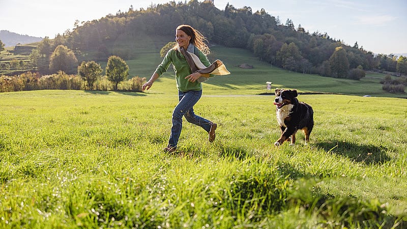 Why Do Dogs Chase People? Unraveling Canine Instincts and Behaviors ...