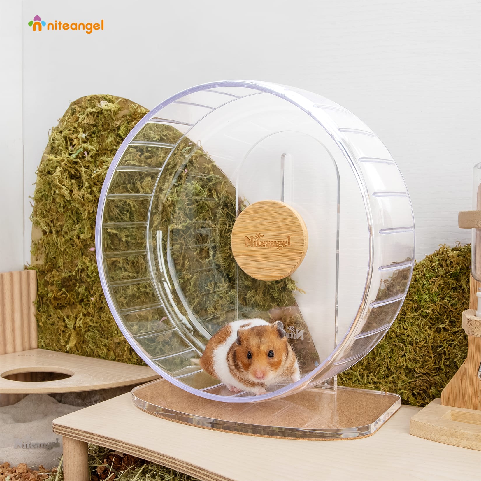Niteangel 10 inch Super-Silent Hamster Exercise Wheels - Hammypet